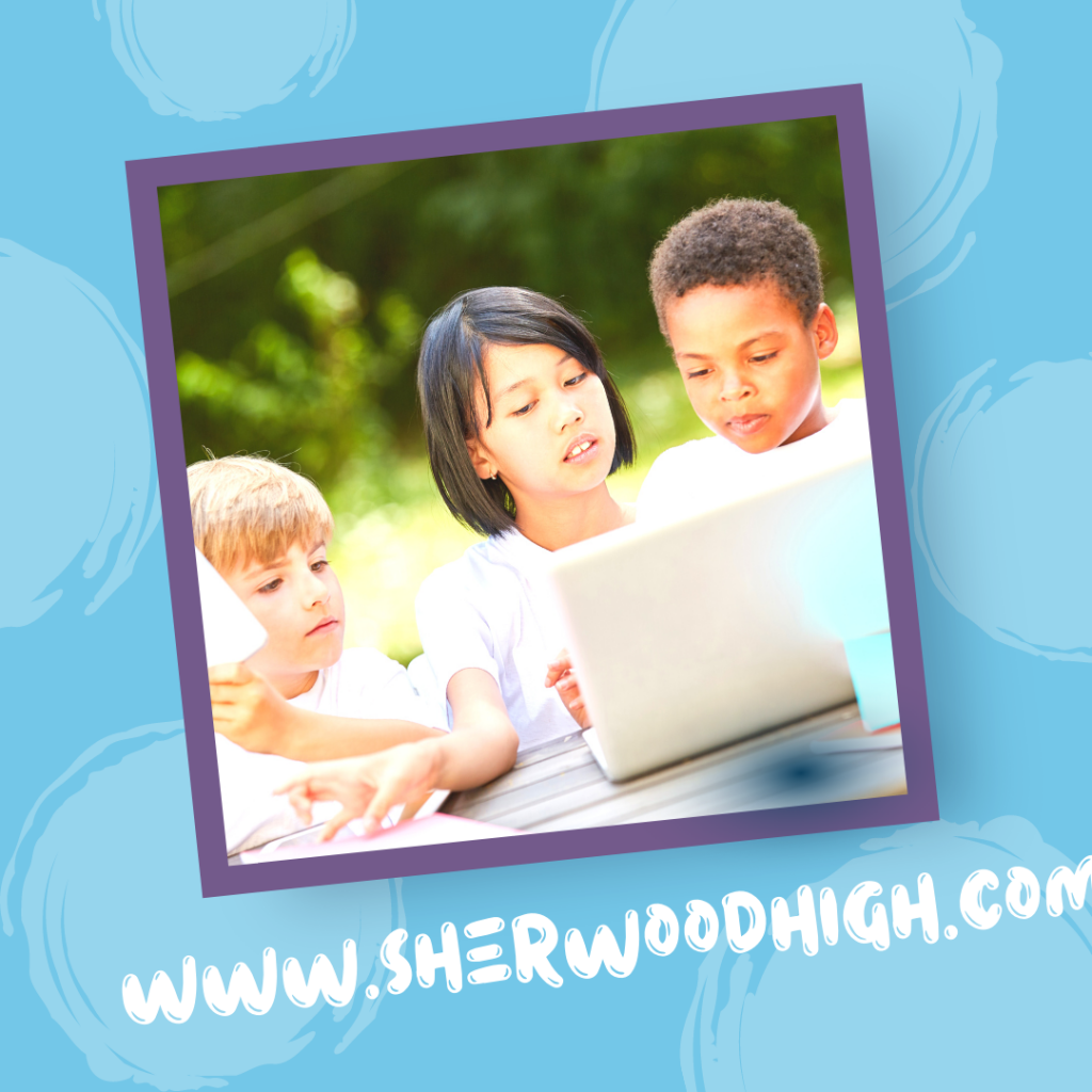 Top 3 Soft Skills your children need for the future. - Sherwood High