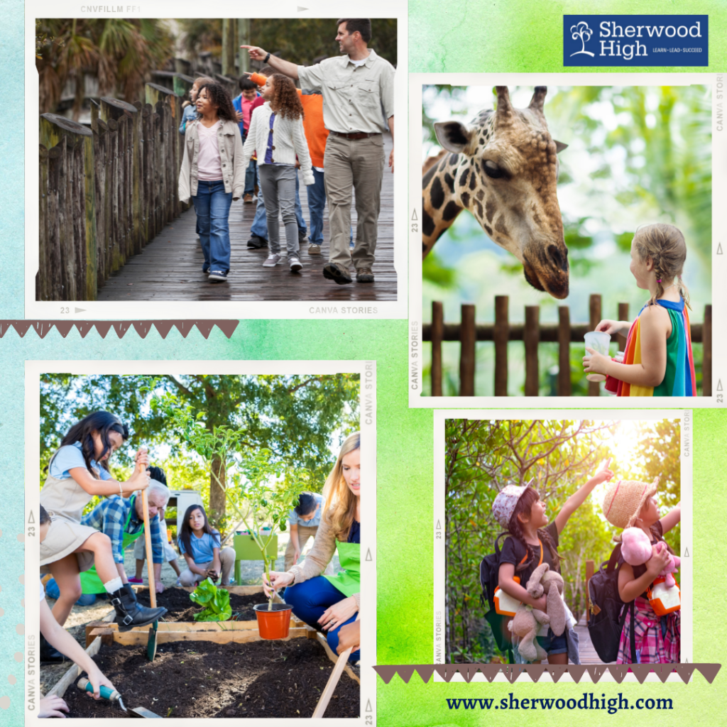 The Role of Experiential Learning in a Kid’s Life - Sherwood High