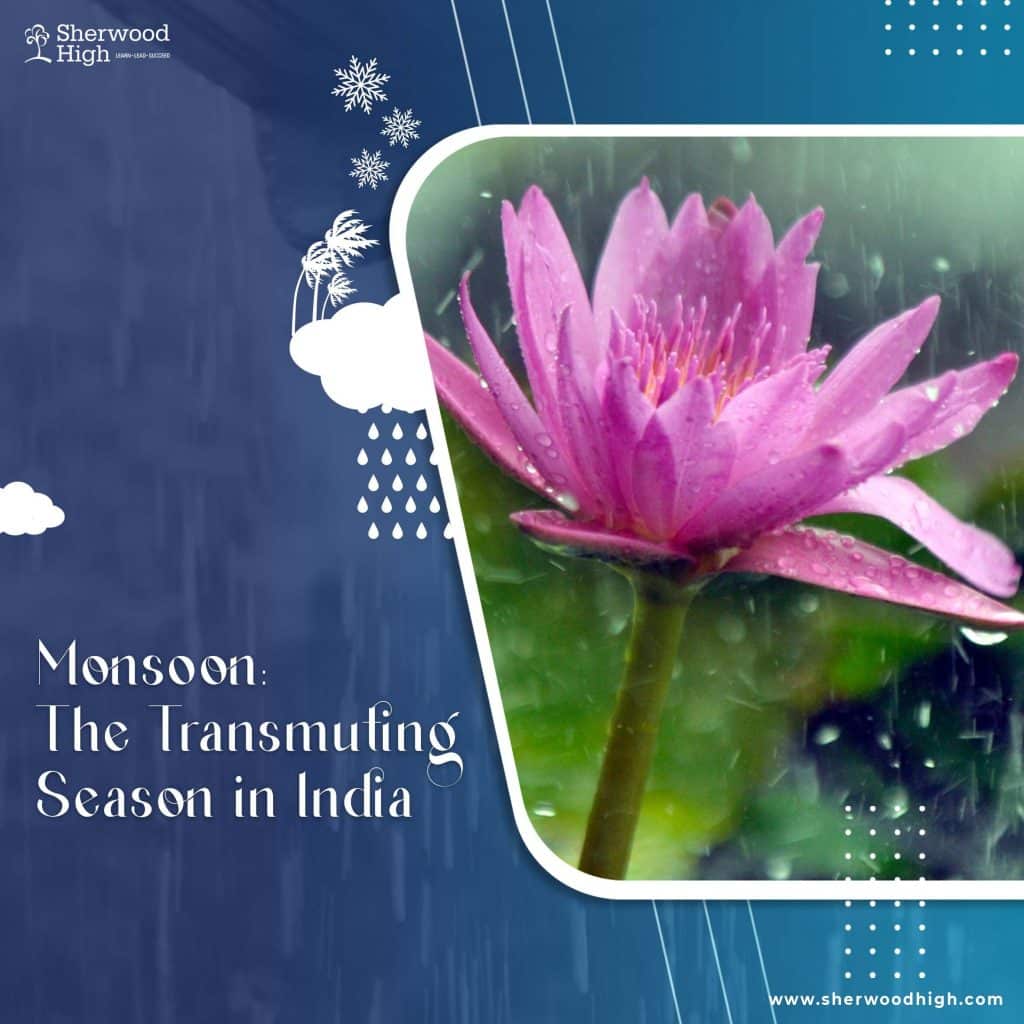 Seasons in India: Diverse and Unique - Sherwood High